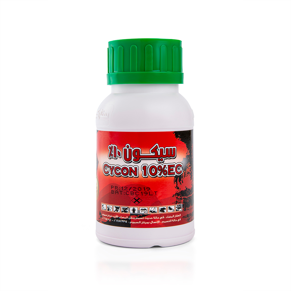 Shoura Online | Cycon_1LT